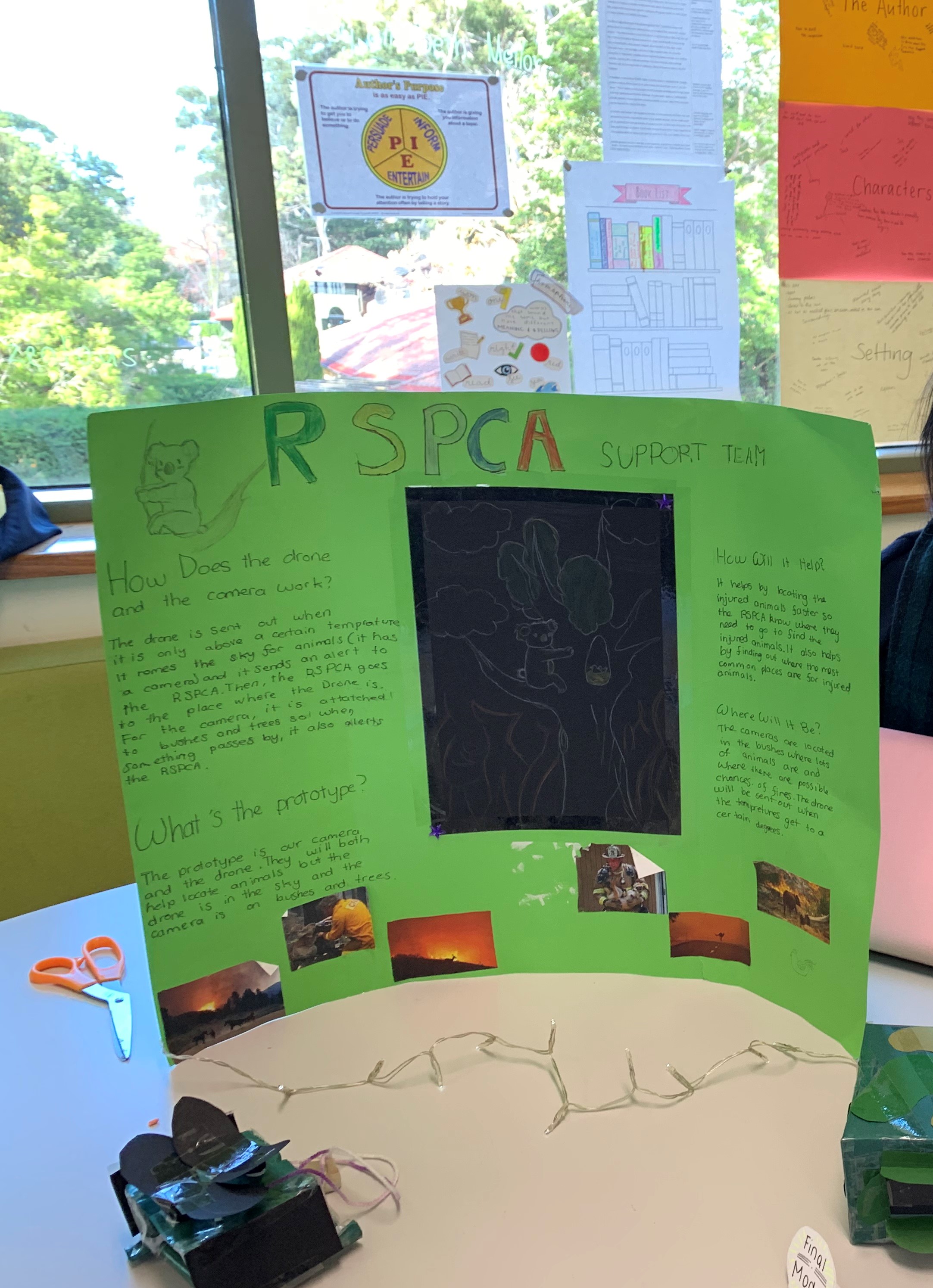 Enter Commissioner's Award | Project Firestorm